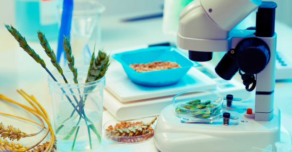 USDA Issues Guidance to Facilitate Compliance with Bioengineered Food ...