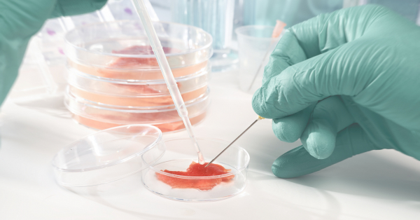 USDA Opens Comment Period for Labeling Requirements for Cell-Cultured ...