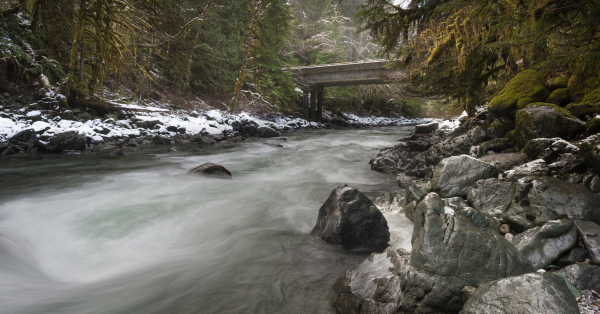 Washington Department of Ecology Signals that Nooksack Basin Water ...