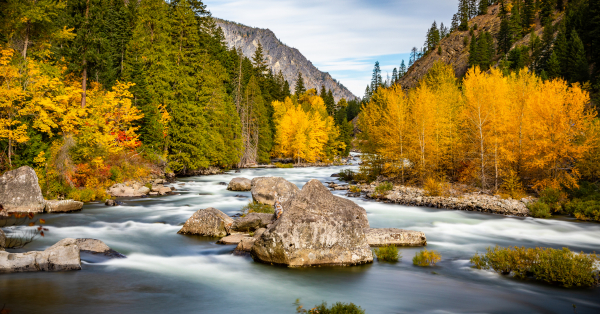 MTCA Gets a Makeover: Ecology Finalizes First Major Updates to ...