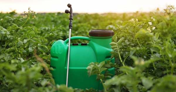 EPA, USDA, and FDA to Clarify Overlapping Biotechnology Regulatory ...